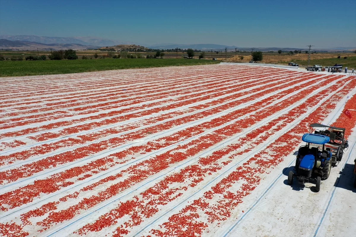Kahramanmaraş'tan kurutulmuş domates ihracatı | Turcomoney